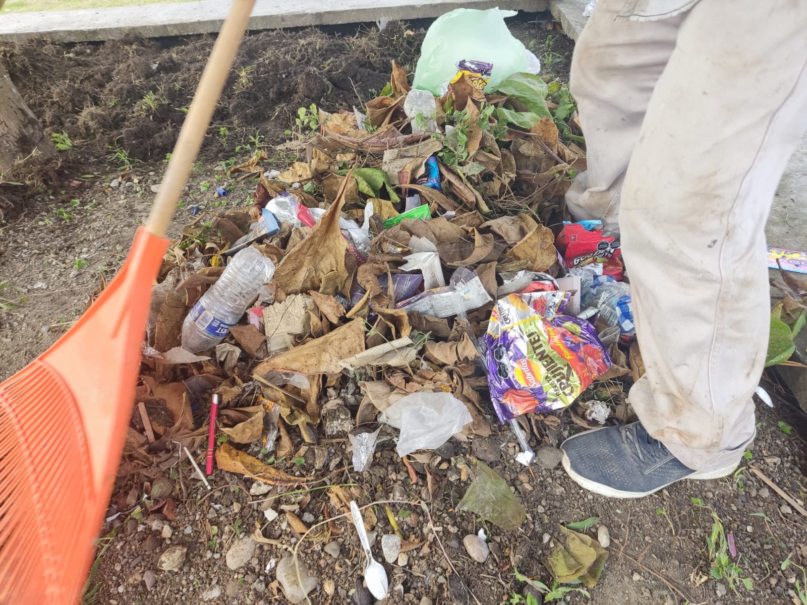 Coatzintla: Basura en parques y jardines retrasa el trabajo y perjudica ...