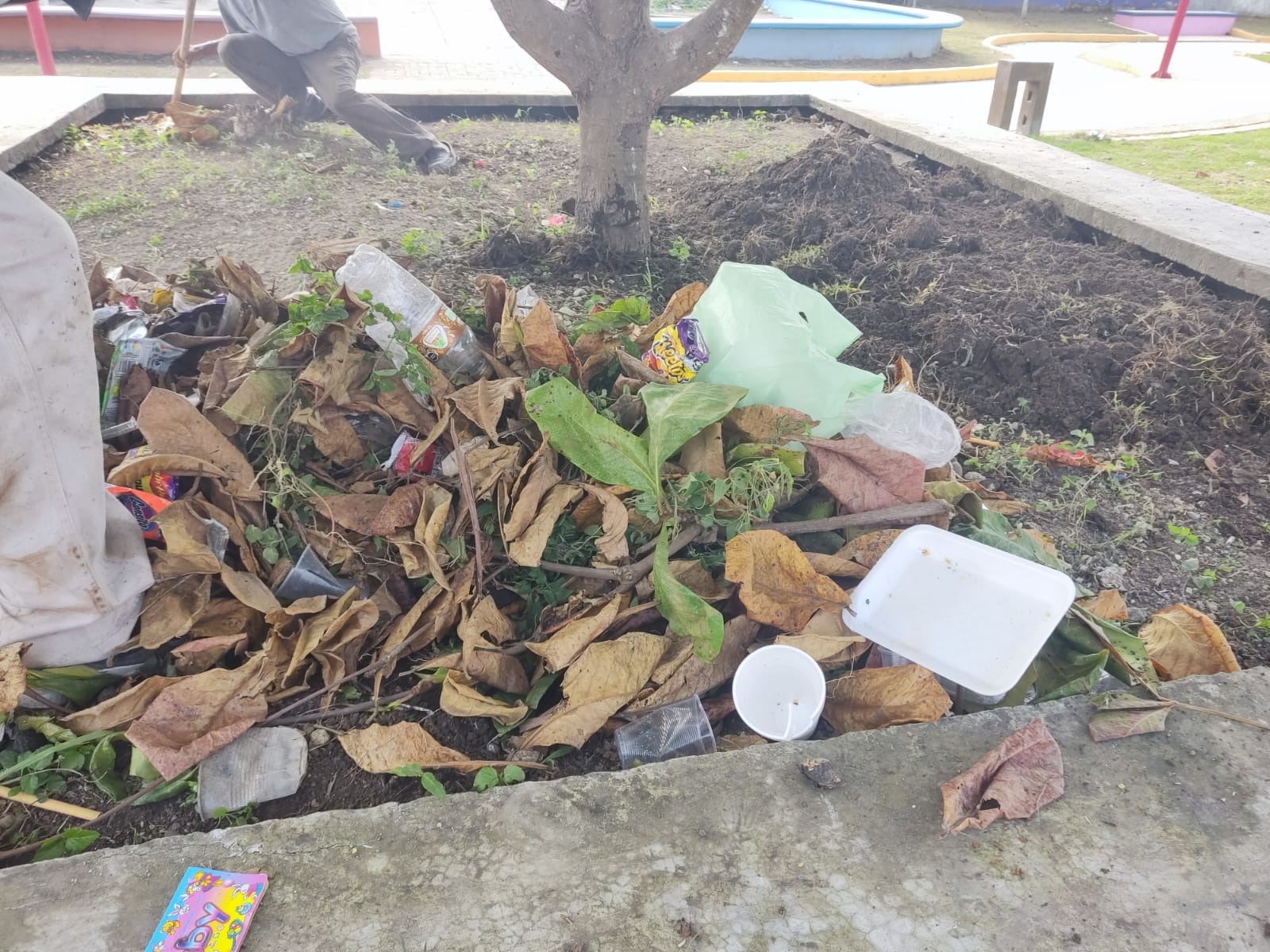 Coatzintla: Basura en parques y jardines retrasa el trabajo y perjudica ...